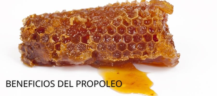 ≫ 13 Beneficios del Propóleo que quizás no conocías